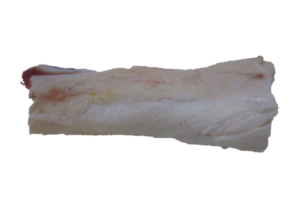 #88710 - BEEF ACHILLES TENDON BNLS FROZEN - STX Beef